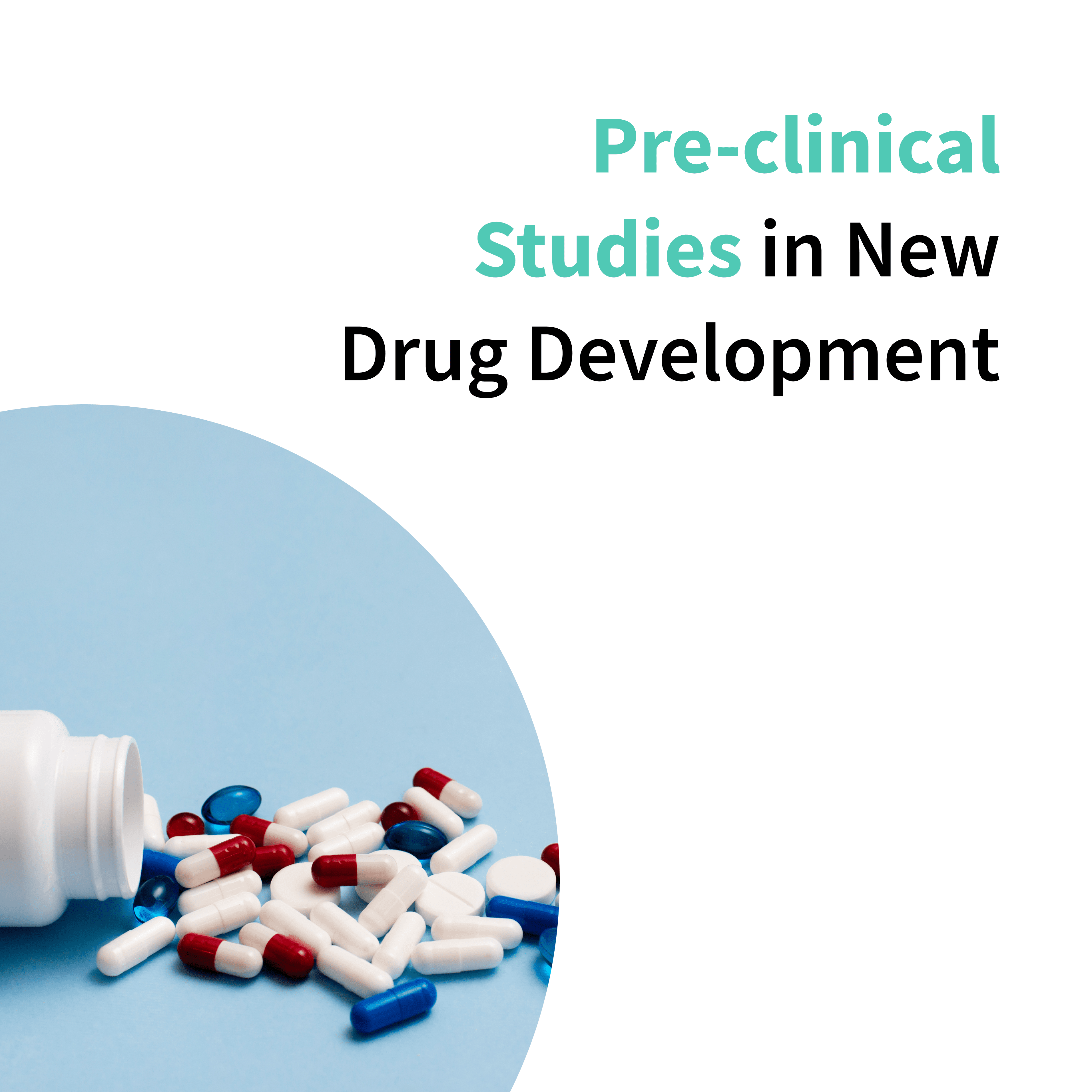 Pre-clinical Studies in New Drug Development | Biobide