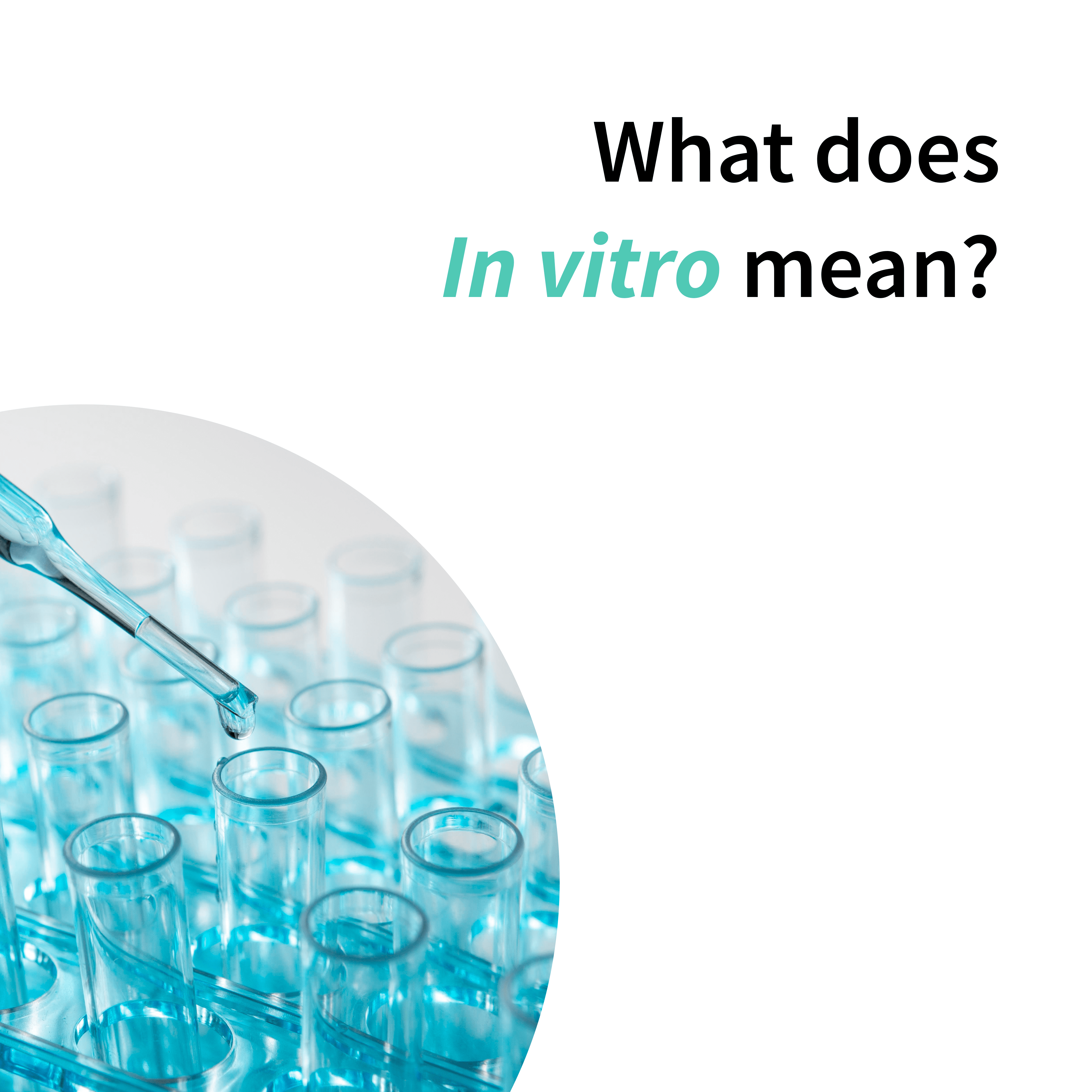 What Does In Vitro Mean? | Biobide